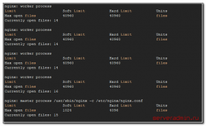 Nginx - Too many open files