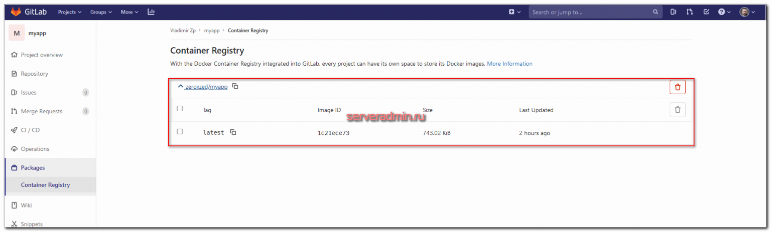 Gitlab Container Registry за Nginx reverse proxy | serveradmin.ru