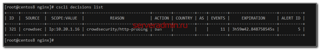 Установка и настройка CrowdSec | serveradmin.ru