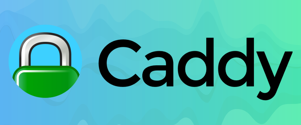 Быстрая настройка web сервера Caddy | serveradmin.ru
